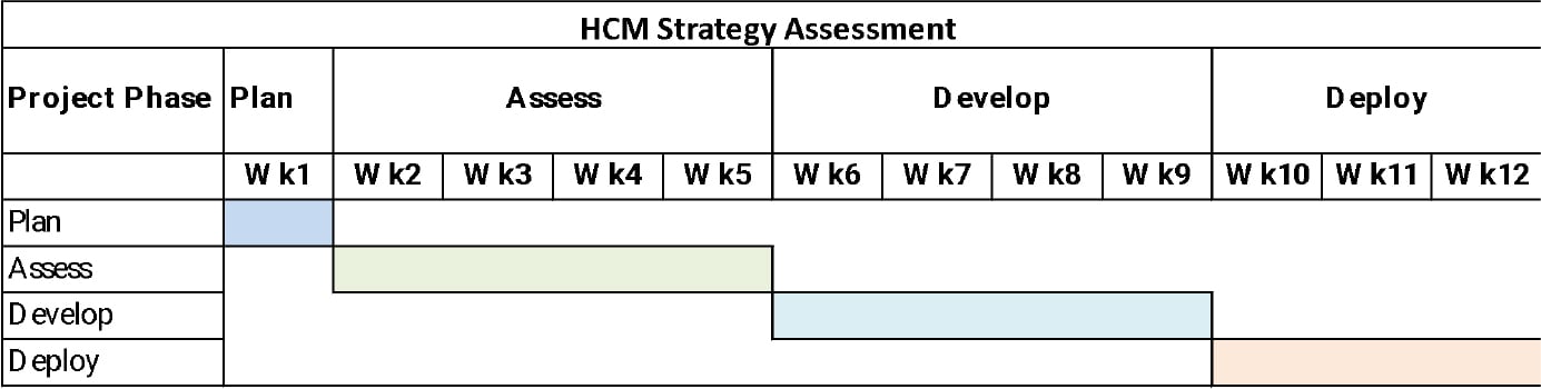 Astute Business Solutions' Strategic Approach to HCM Transformation at ...